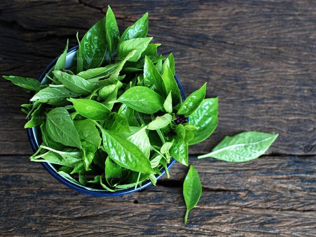 Thai Basil or Sweet Basil: Spotting the Differences - Dining At Home