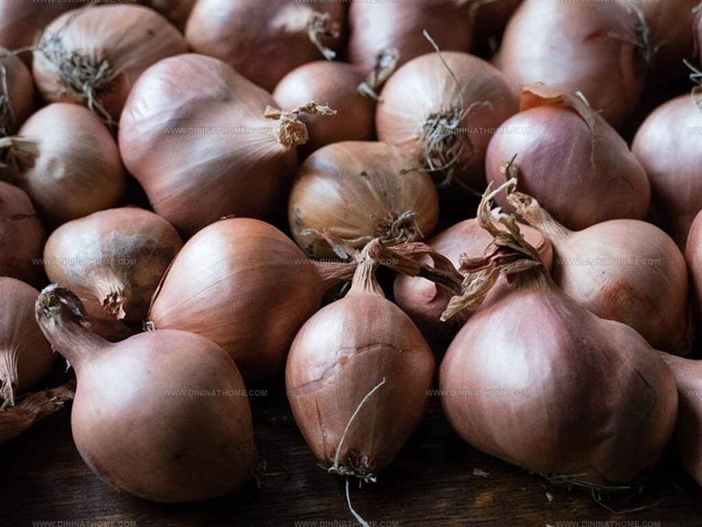 Shallots or Green Onions: Which Flavor Is Right? - Dining At Home
